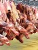 About Us - ICCV - The largest Australian Halal Certification Authority